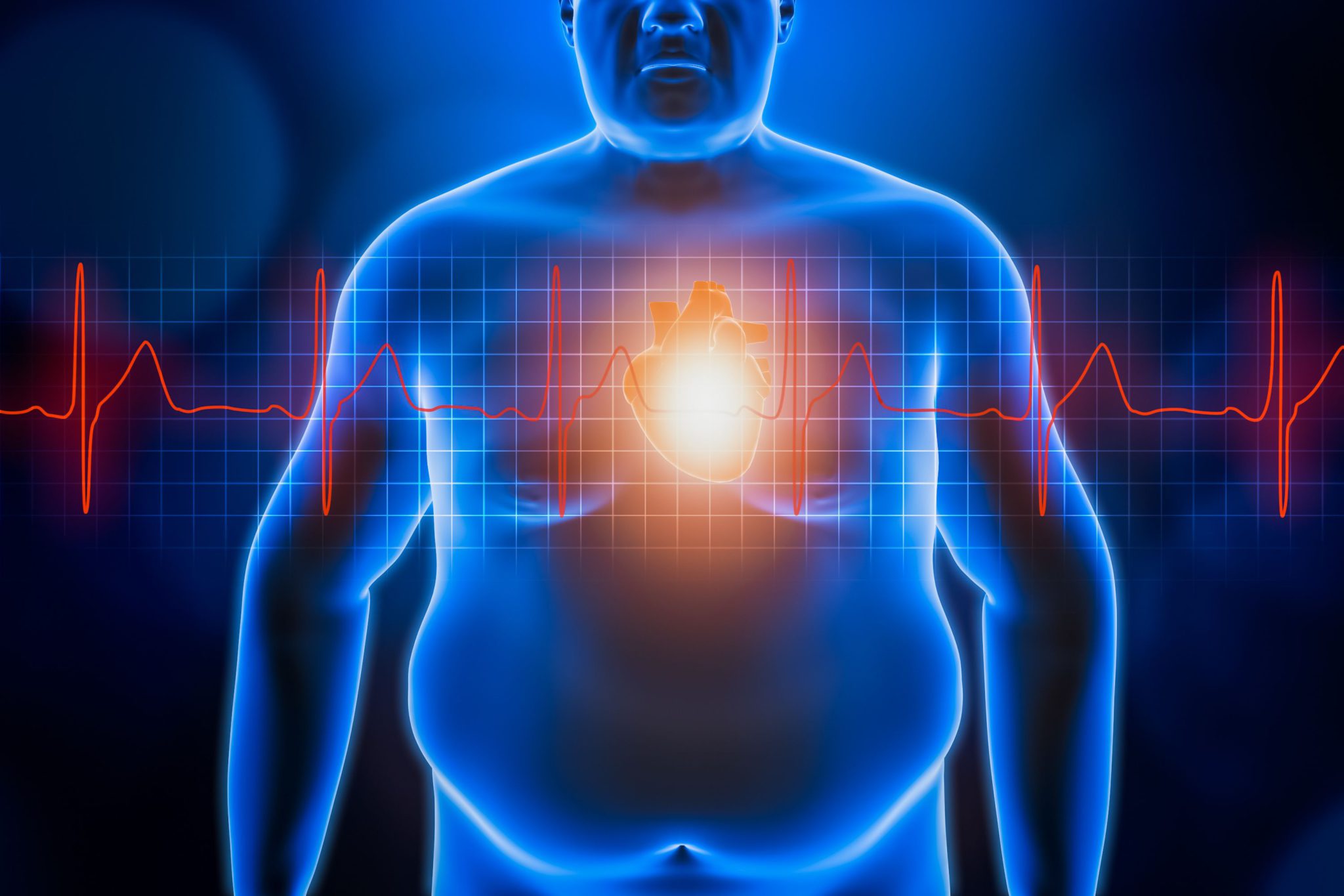 WiRED Releases Module On Overweight And Obesity WiRED International WiRED Releases Module On Overweight And Obesity WiRED International