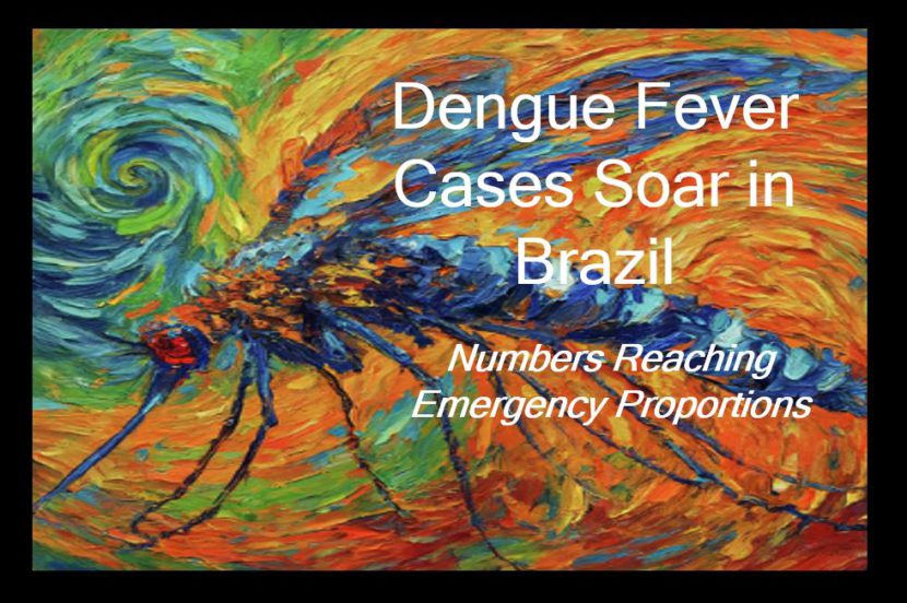 Dengue Fever Cases Soar in Brazil – WiRED International