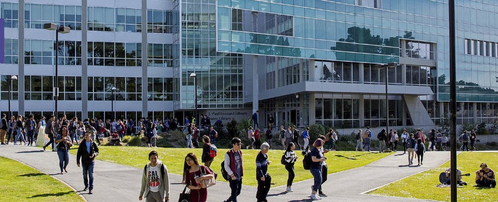 Dr. Elaine Musselman Joins WiRED’s Advisory Board – WiRED International